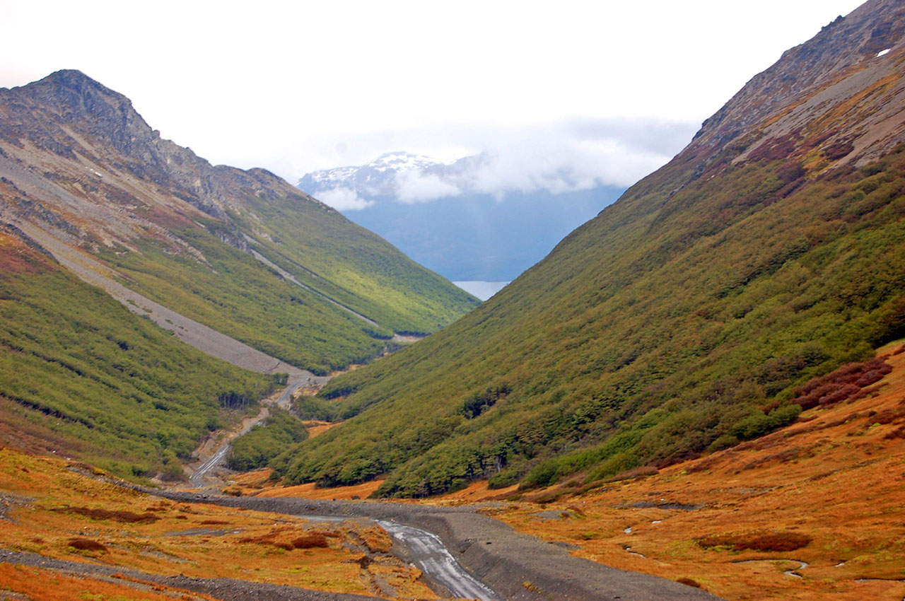 Karukinka: biodiversidad desde Tierra del Fuego – MMA