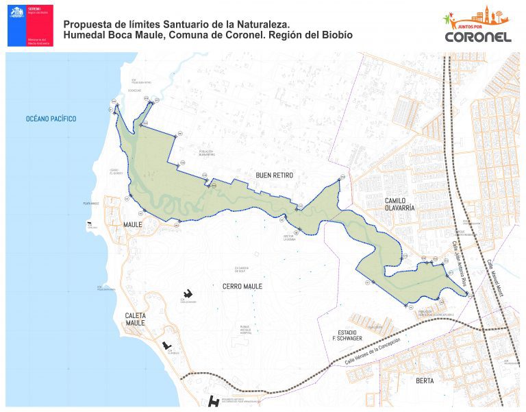 Plan Nacional para la Protección de Humedales Región Biobío – MMA