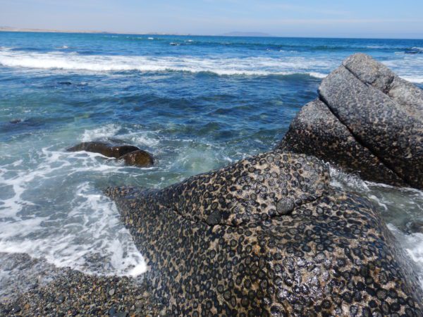 Constituyen Mesa Técnica para gestionar el Santuario de la Naturaleza ...