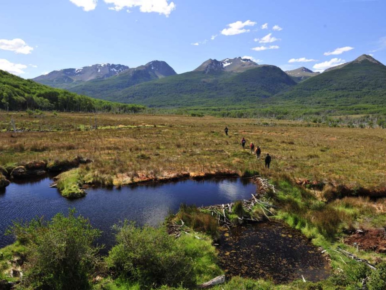 Ministerio del Medio Ambiente anuncia Hoja de Ruta de Turberas – MMA