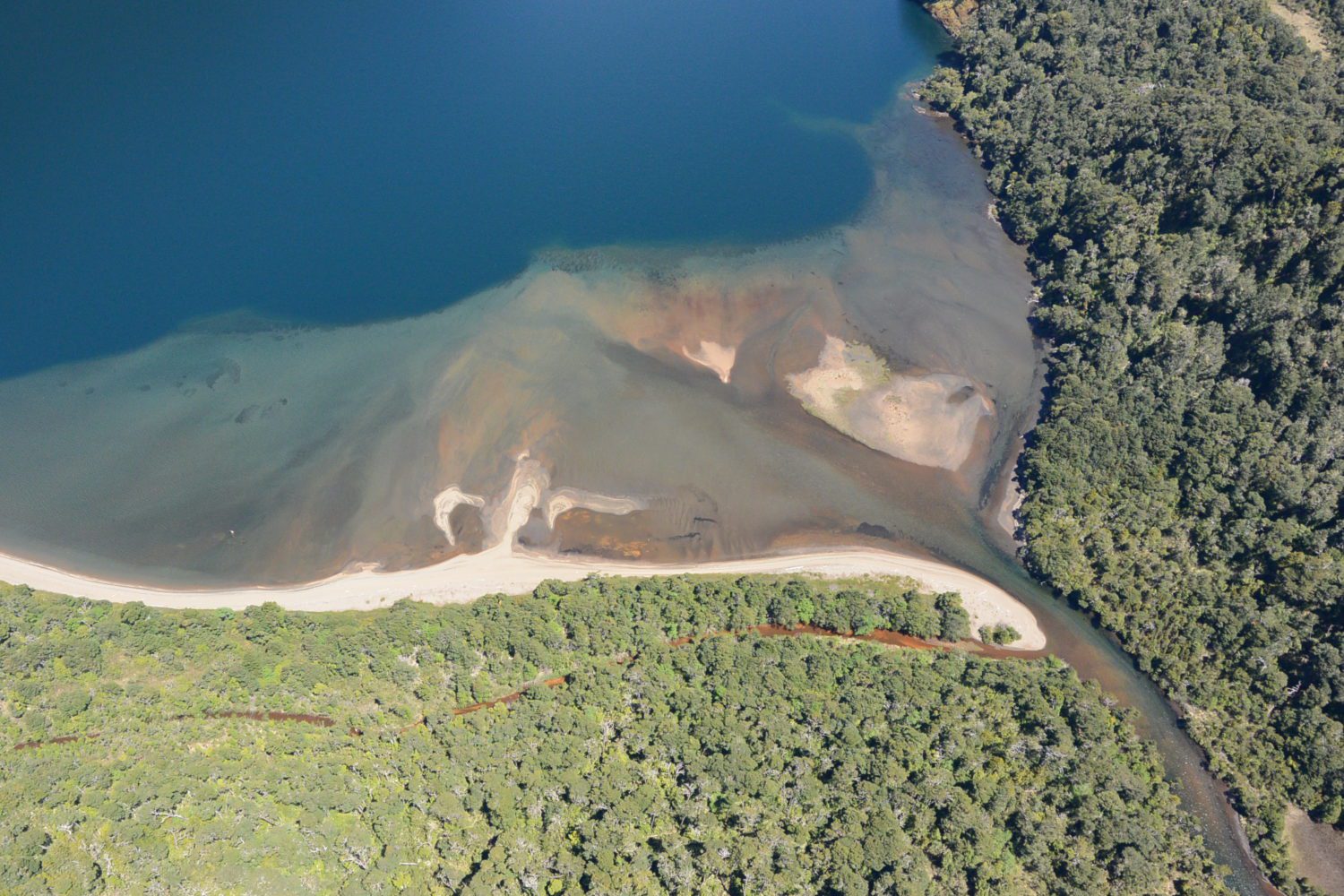 Región de Aysén cuenta con nuevo Santuario de la Naturaleza Meullín ...