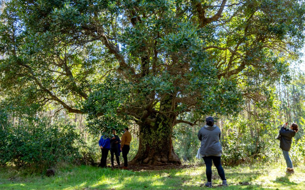Se da inicio al proceso de elaboración del Plan de Recuperación ...
