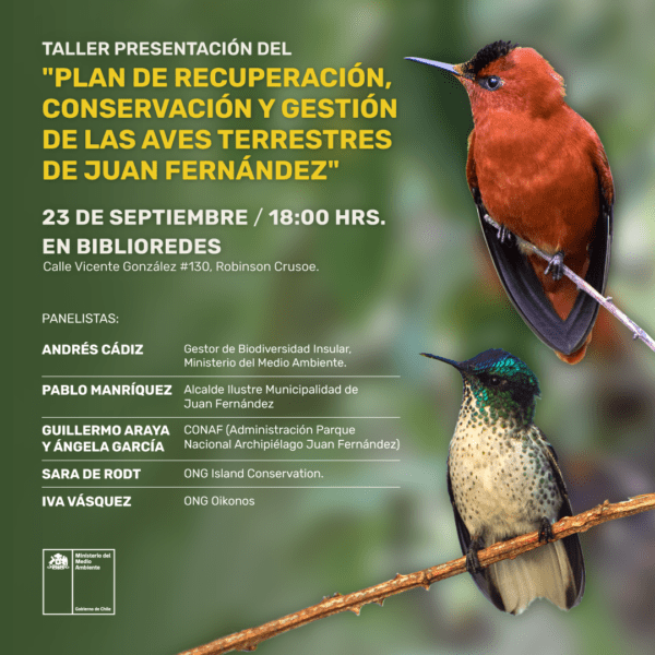Plan de Recuperación, Conservación y Gestión de las aves terrestres de ...
