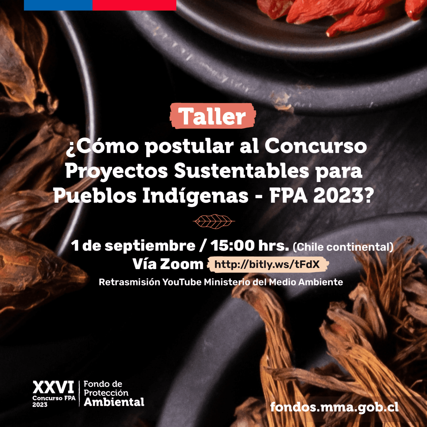 Taller ¿Cómo postular al concurso Proyectos Sustentables para Pueblos ...