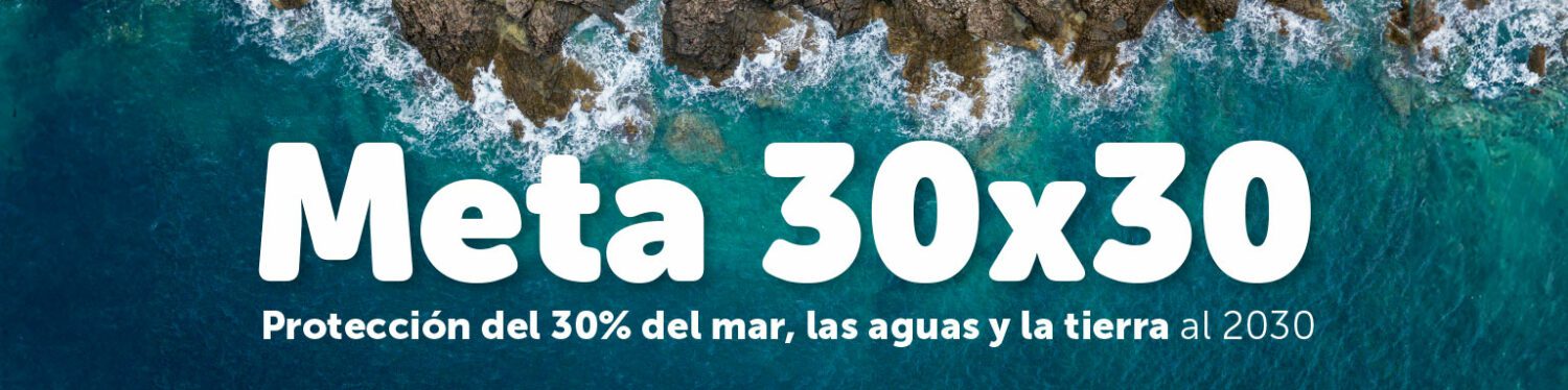 Meta 3 del Marco Global de Biodiversidad: 30×30 – MMA