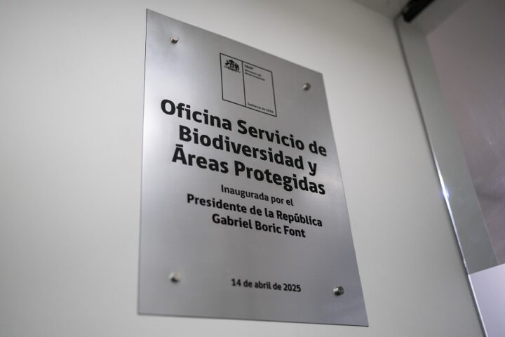 SBAP: Consejo de Ministros aprueba reglamento de compensaciones de ...
